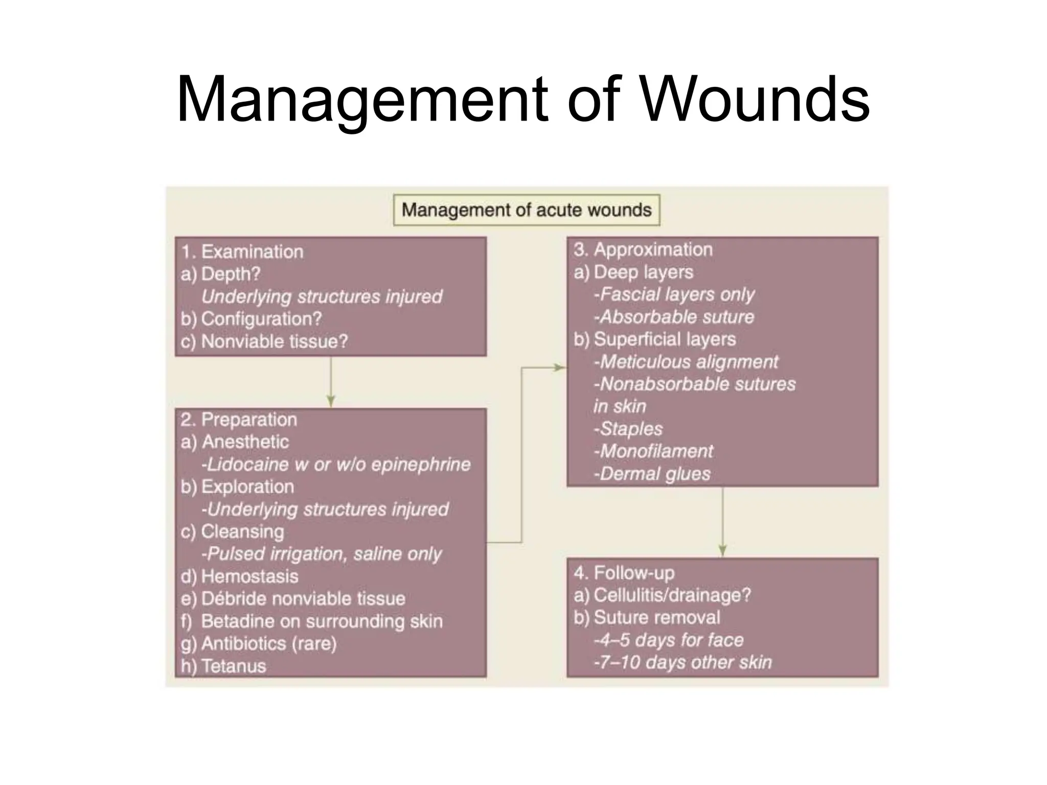Wound healing and management of wound in surgery | PPT
