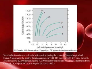Progressive Shock | PPT