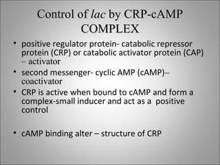 Deepali lac operon | PPT