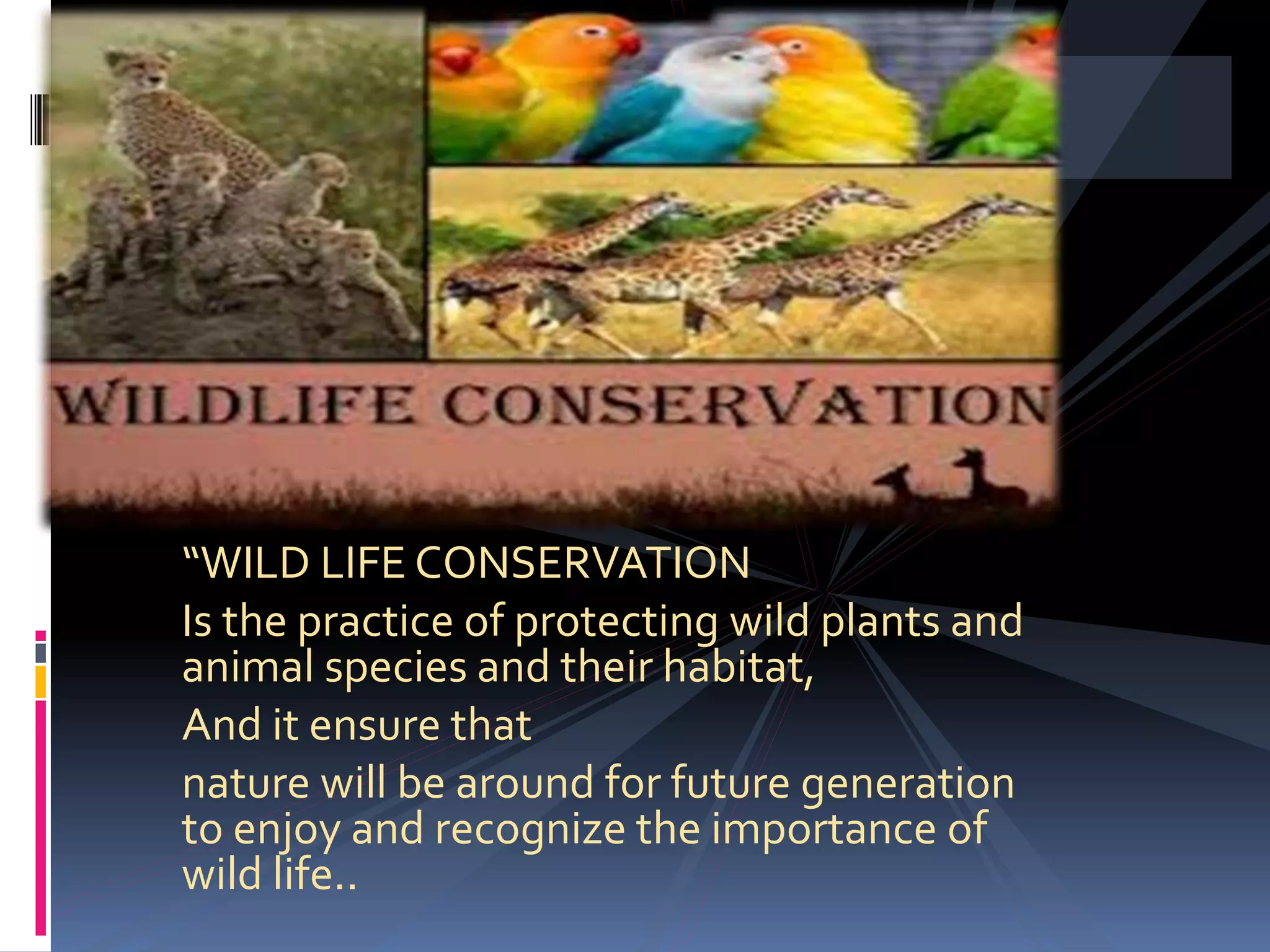 wild life conservation project in india | PPTX