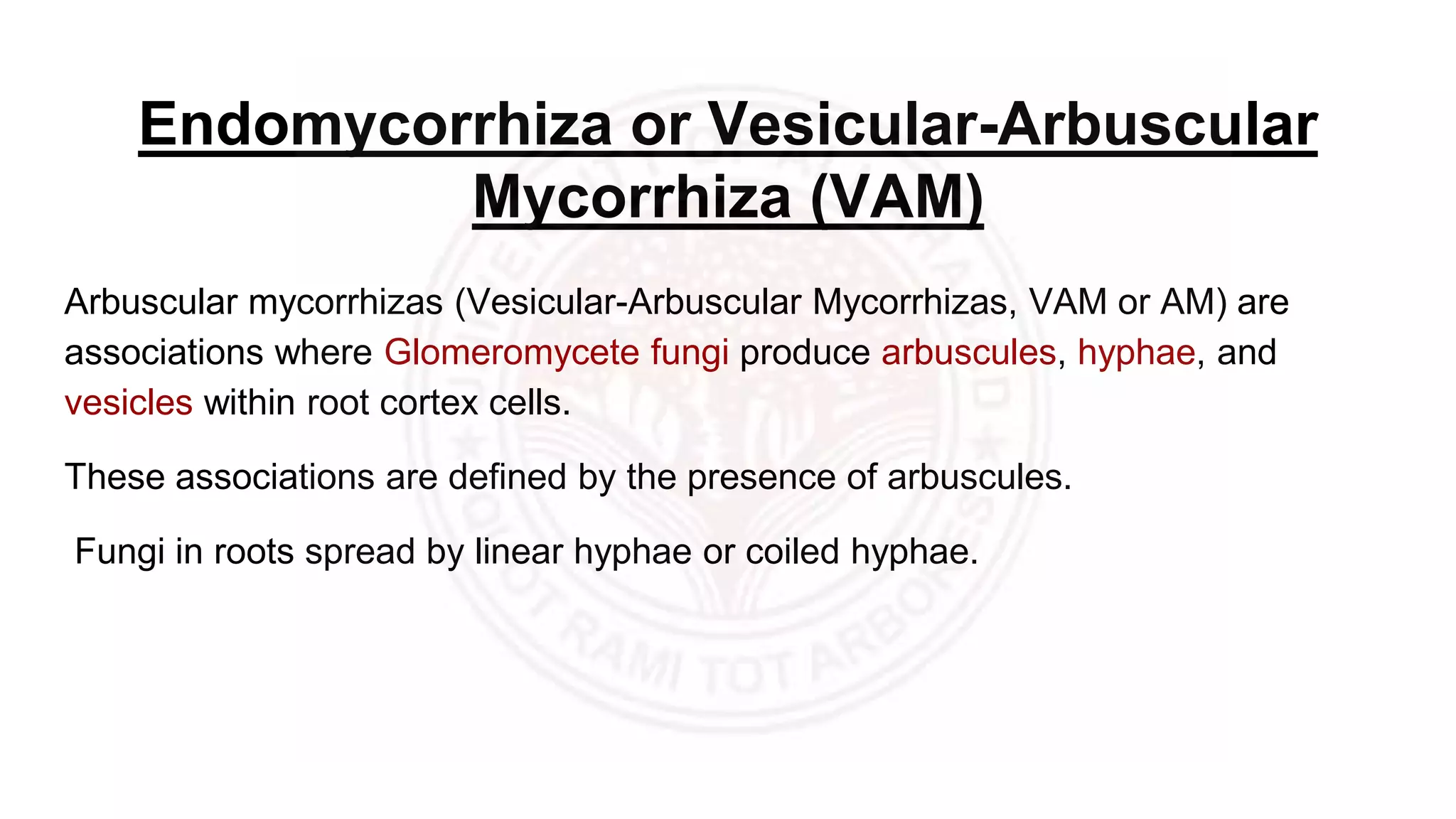 Mycorrhiza and types | PPTX