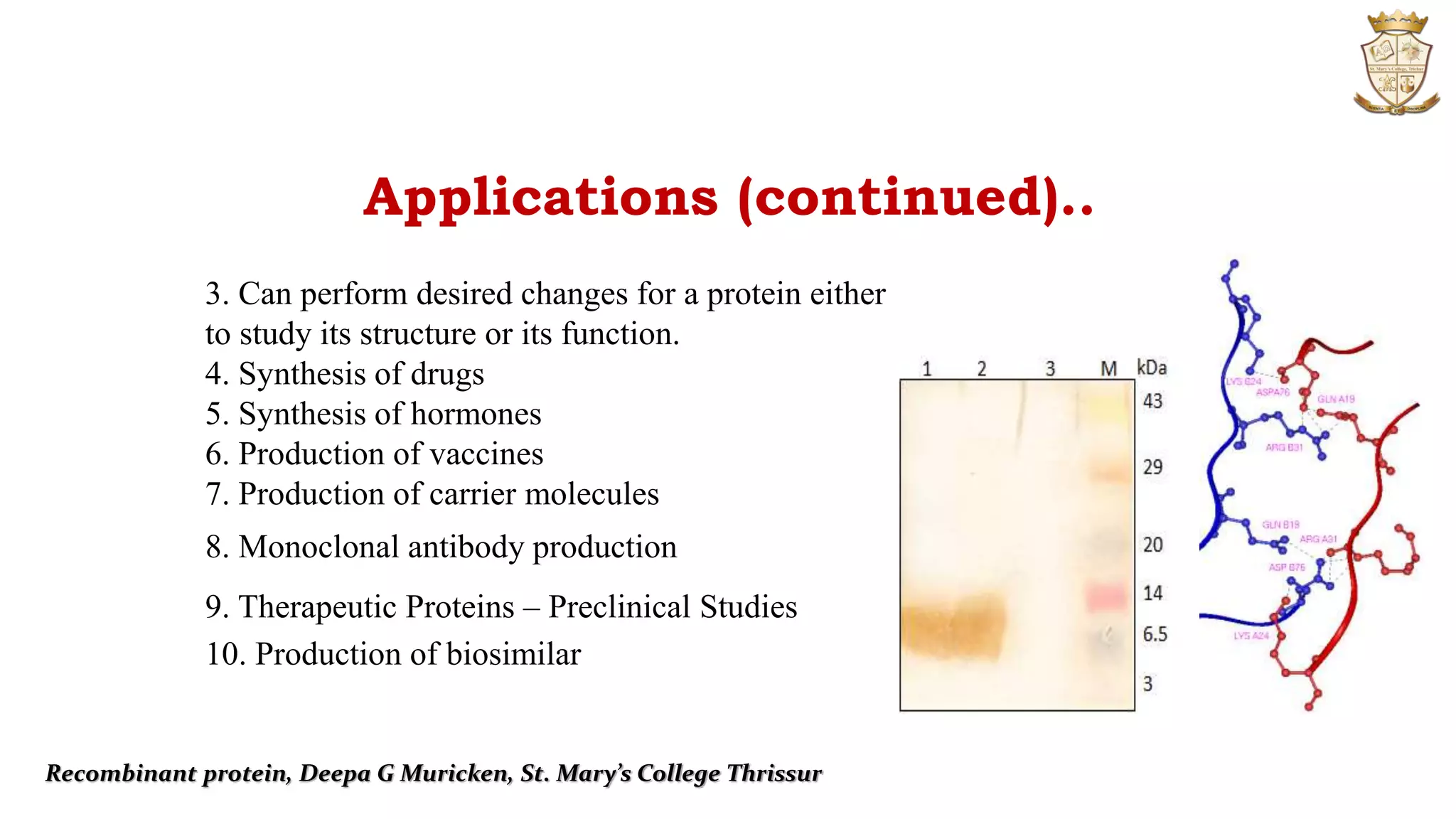 Biochemistry:Recombinant Protein : An Overview | PPTX