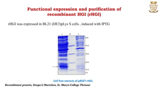 Biochemistry:Recombinant Protein : An Overview | PPTX