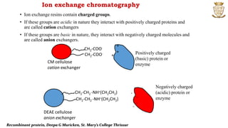 Biochemistry:Recombinant Protein : An Overview | PPTX