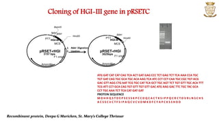 Biochemistry:Recombinant Protein : An Overview | PPTX