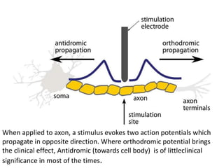 Deep Brain Stimulation | PPTX