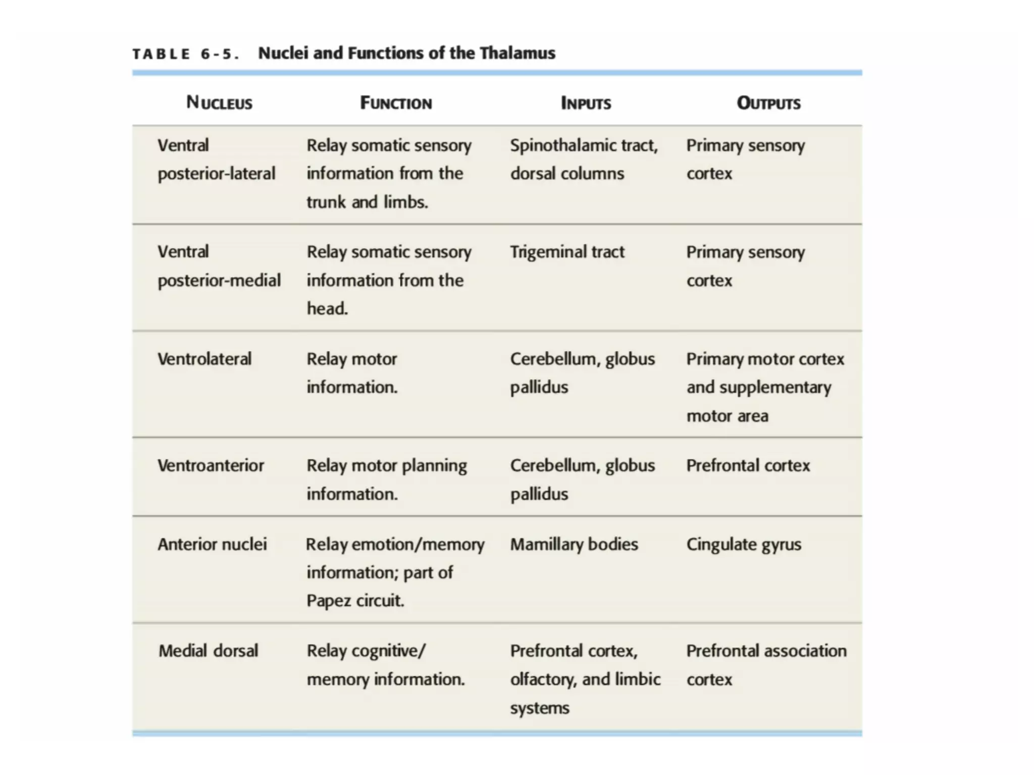 Deep brain structures | PDF