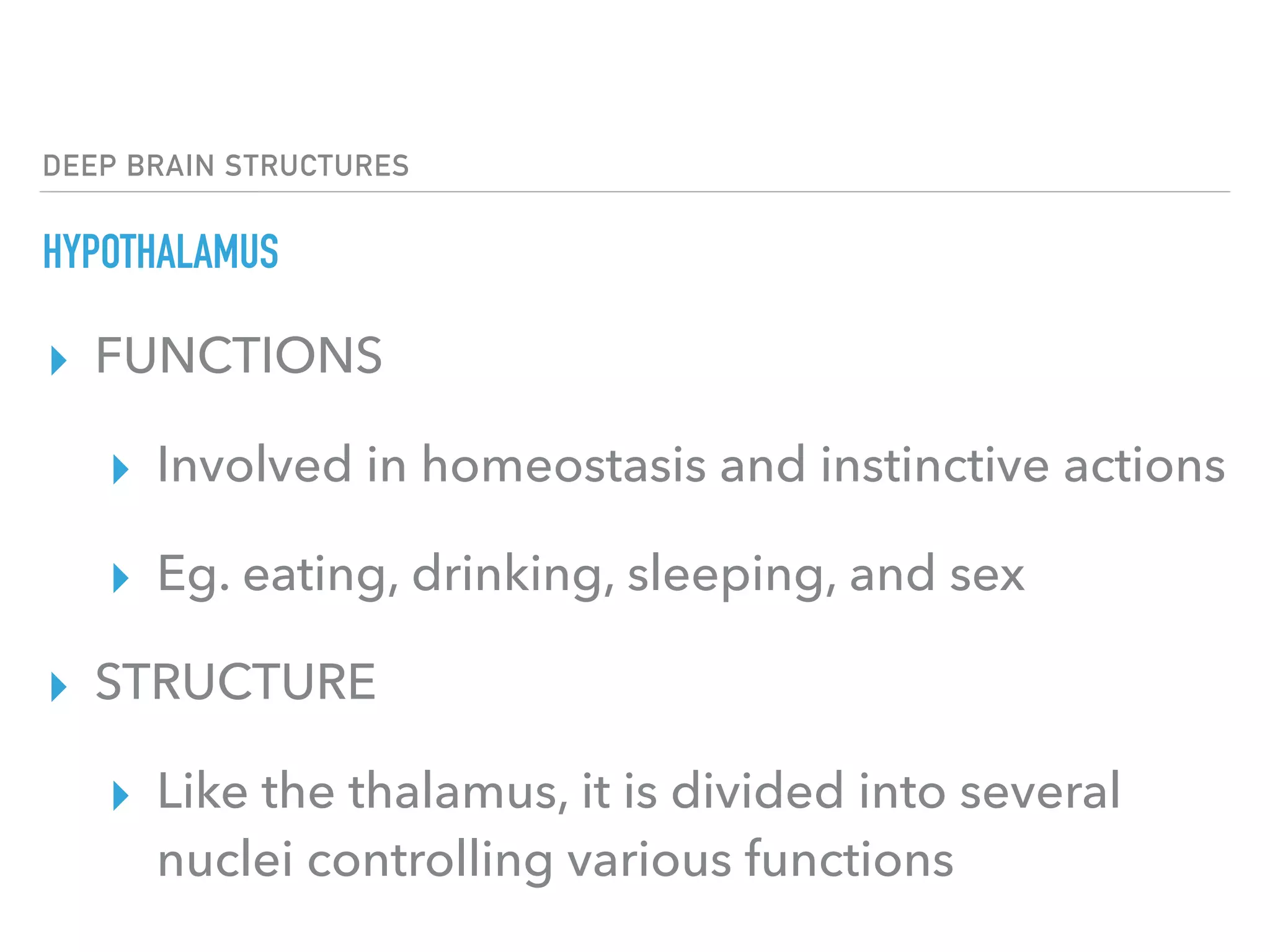 Deep brain structures | PDF