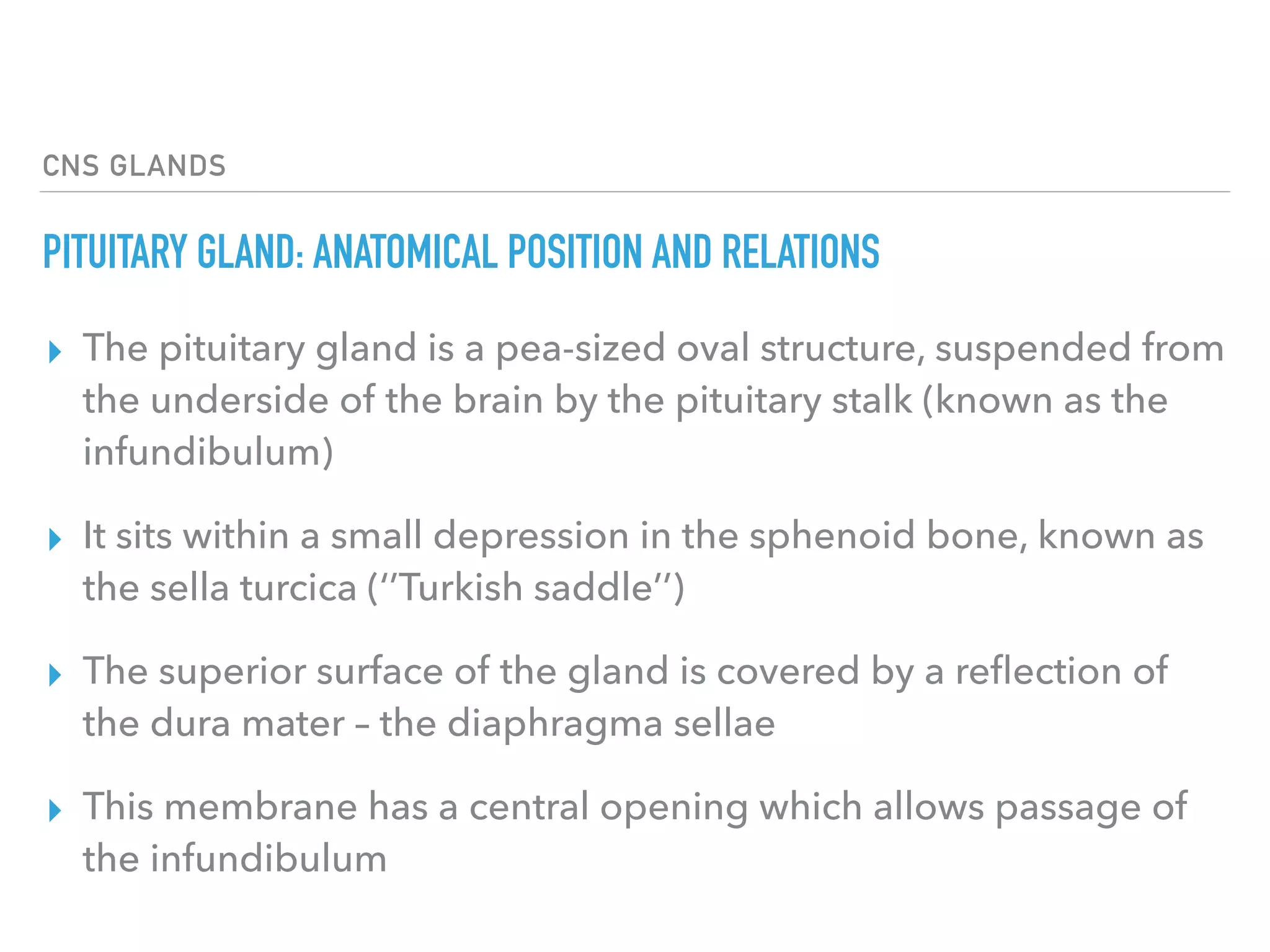 Deep brain structures | PDF