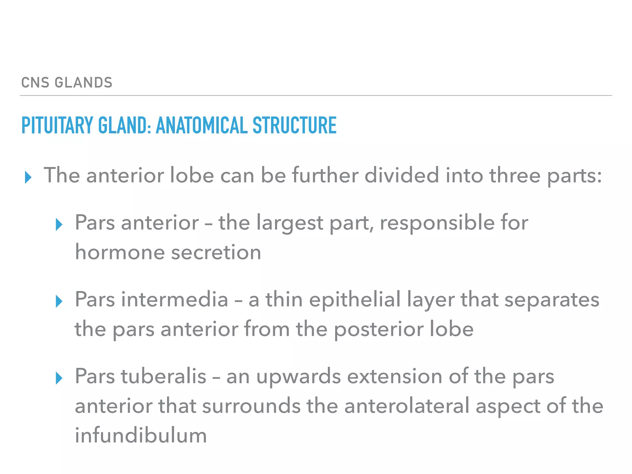 Deep brain structures | PDF