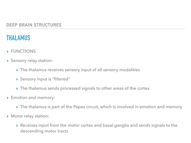 Deep brain structures | PDF