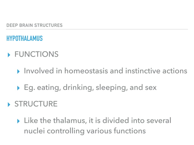 Deep brain structures | PDF