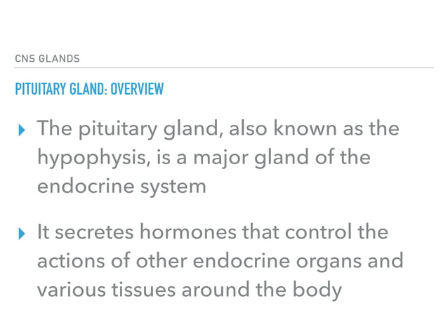 Deep brain structures | PDF