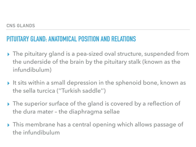 Deep brain structures | PDF