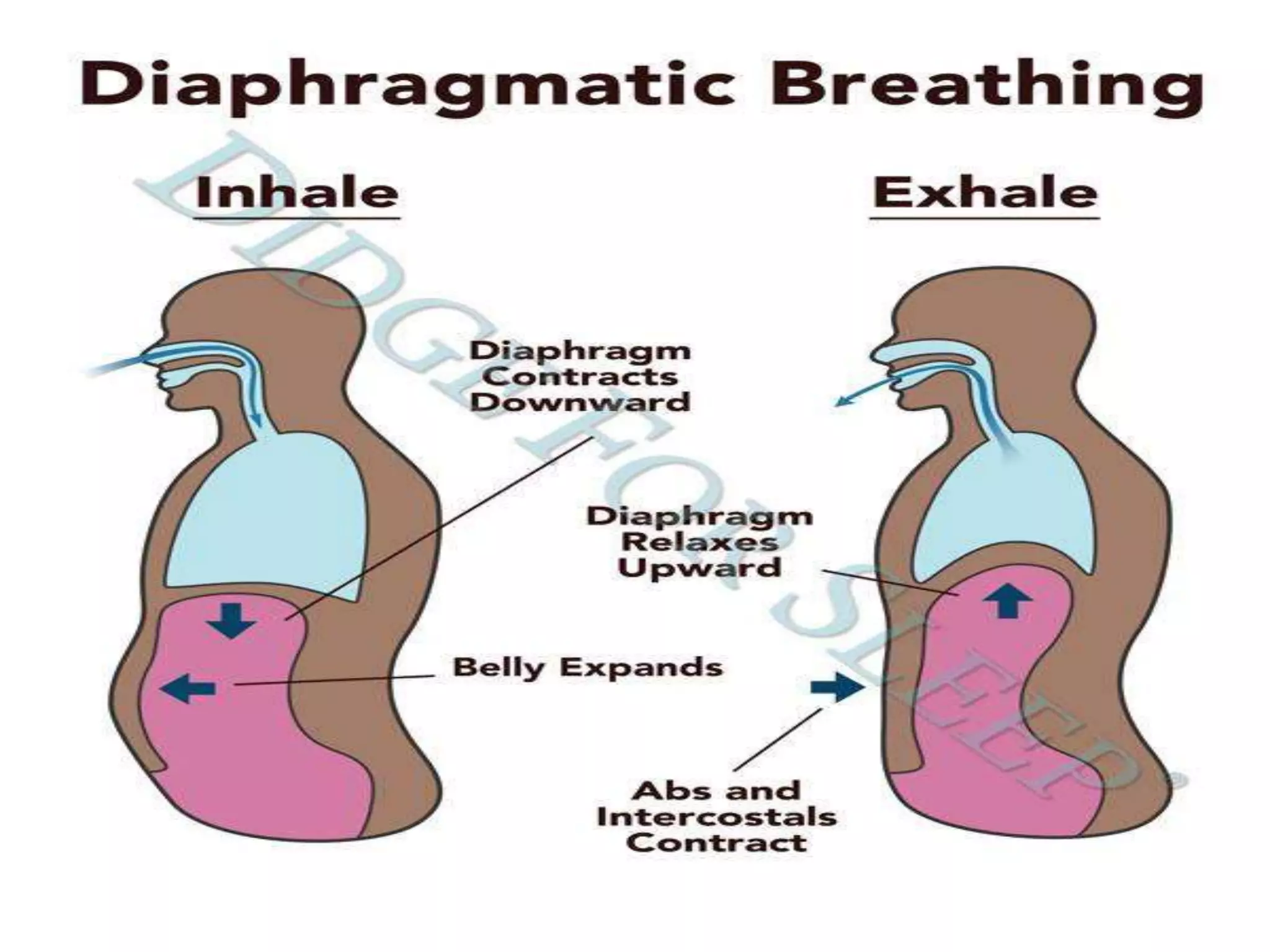 Deep breathing and coughing exercises | PDF