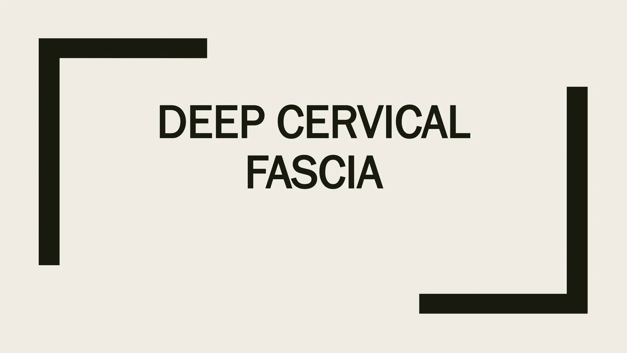 medical anatomy of deep Cervical fascia.pptx