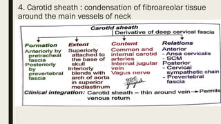 medical anatomy of deep Cervical fascia.pptx