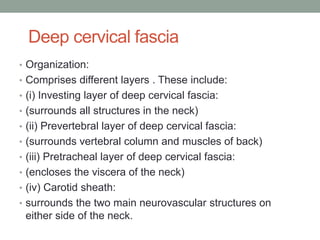Deep cervical fascia.-2pptx.pptx