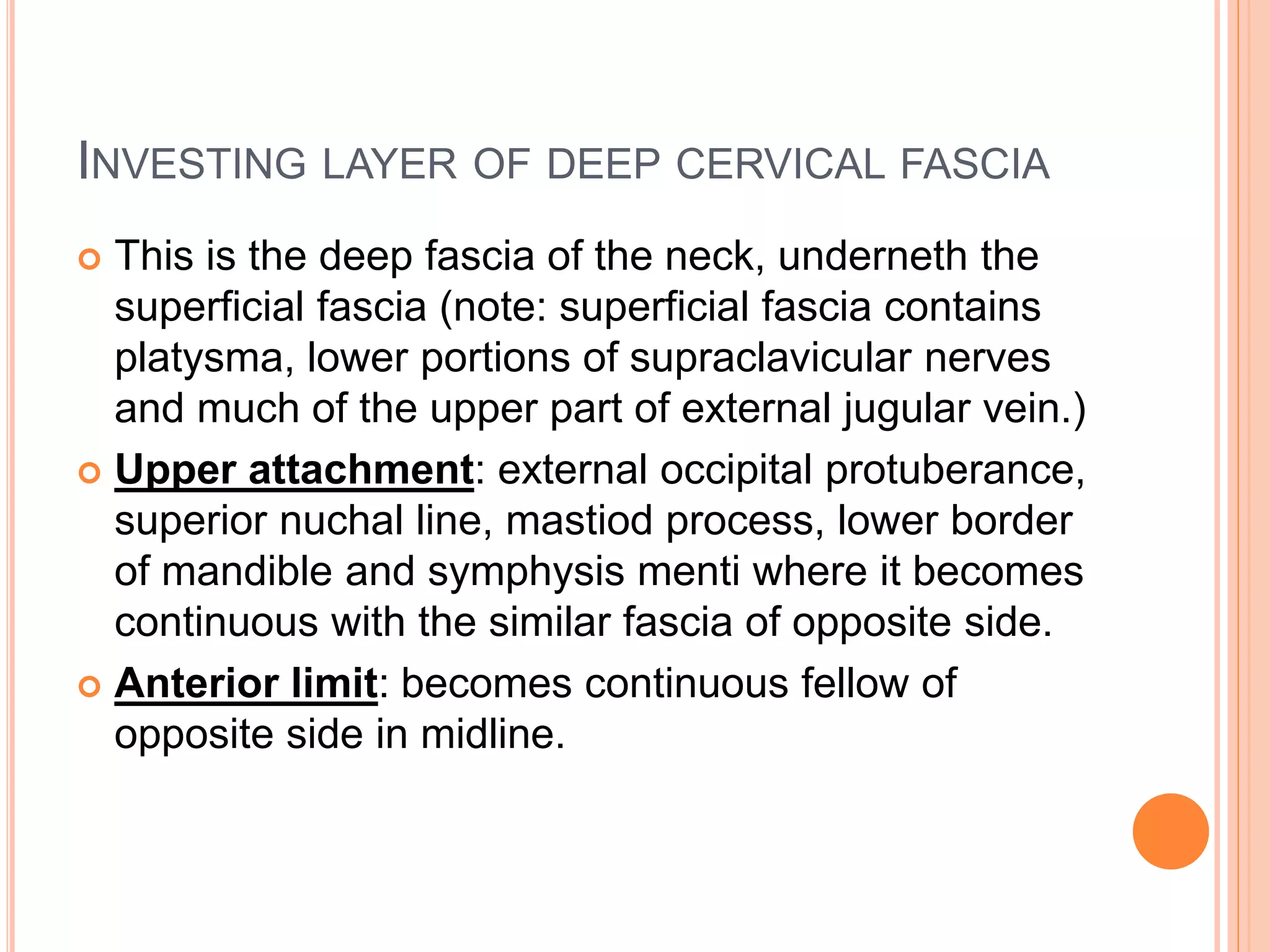 Deep Cervical fascia.pptx
