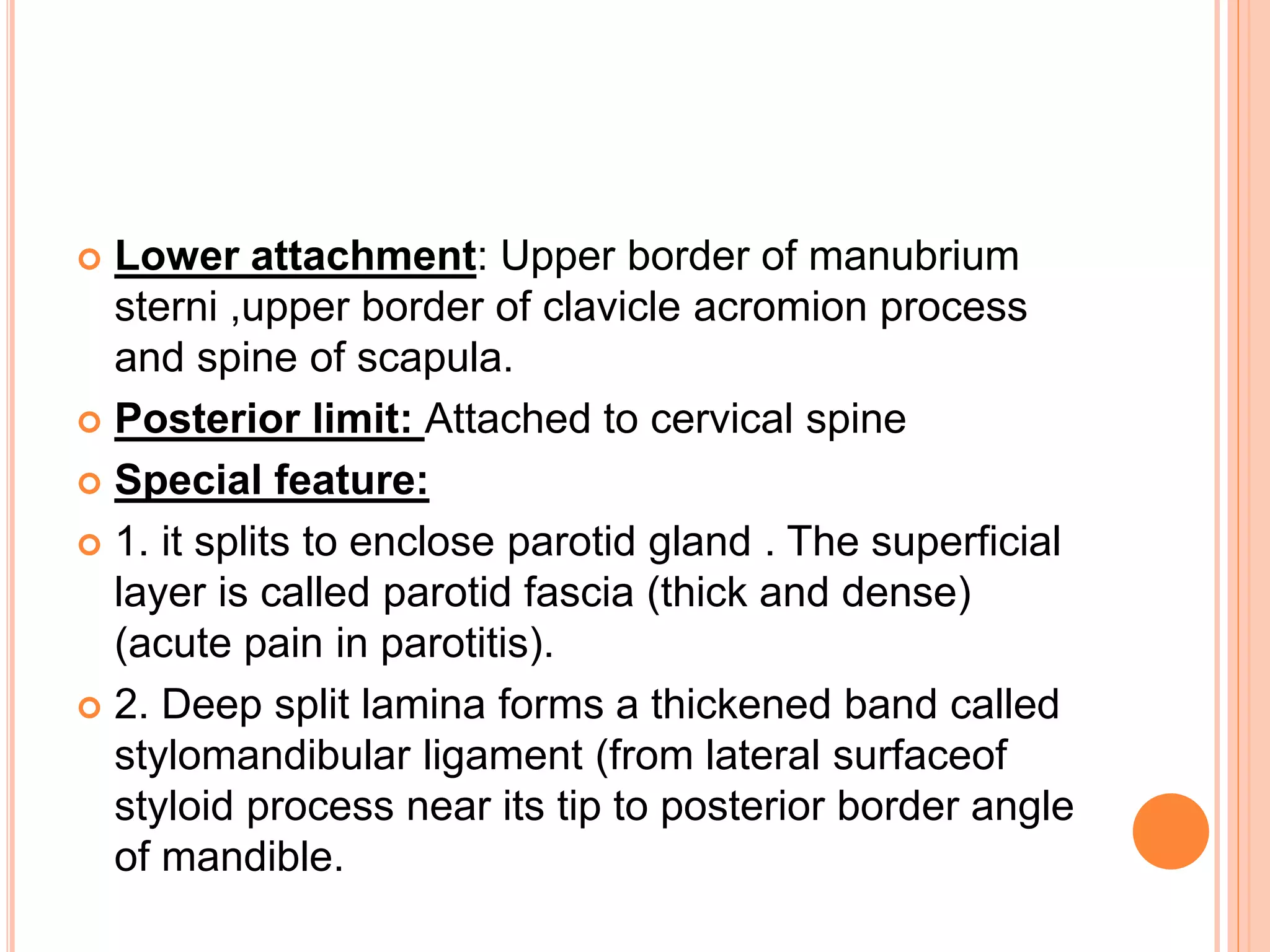 Deep Cervical fascia.pptx