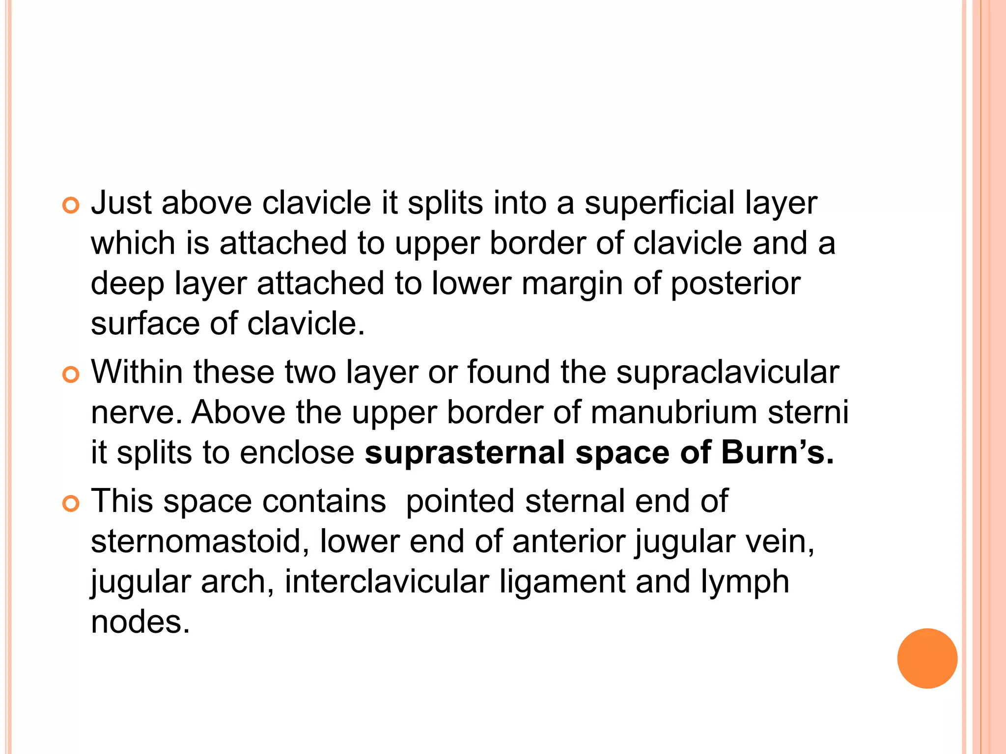 Deep Cervical fascia.pptx