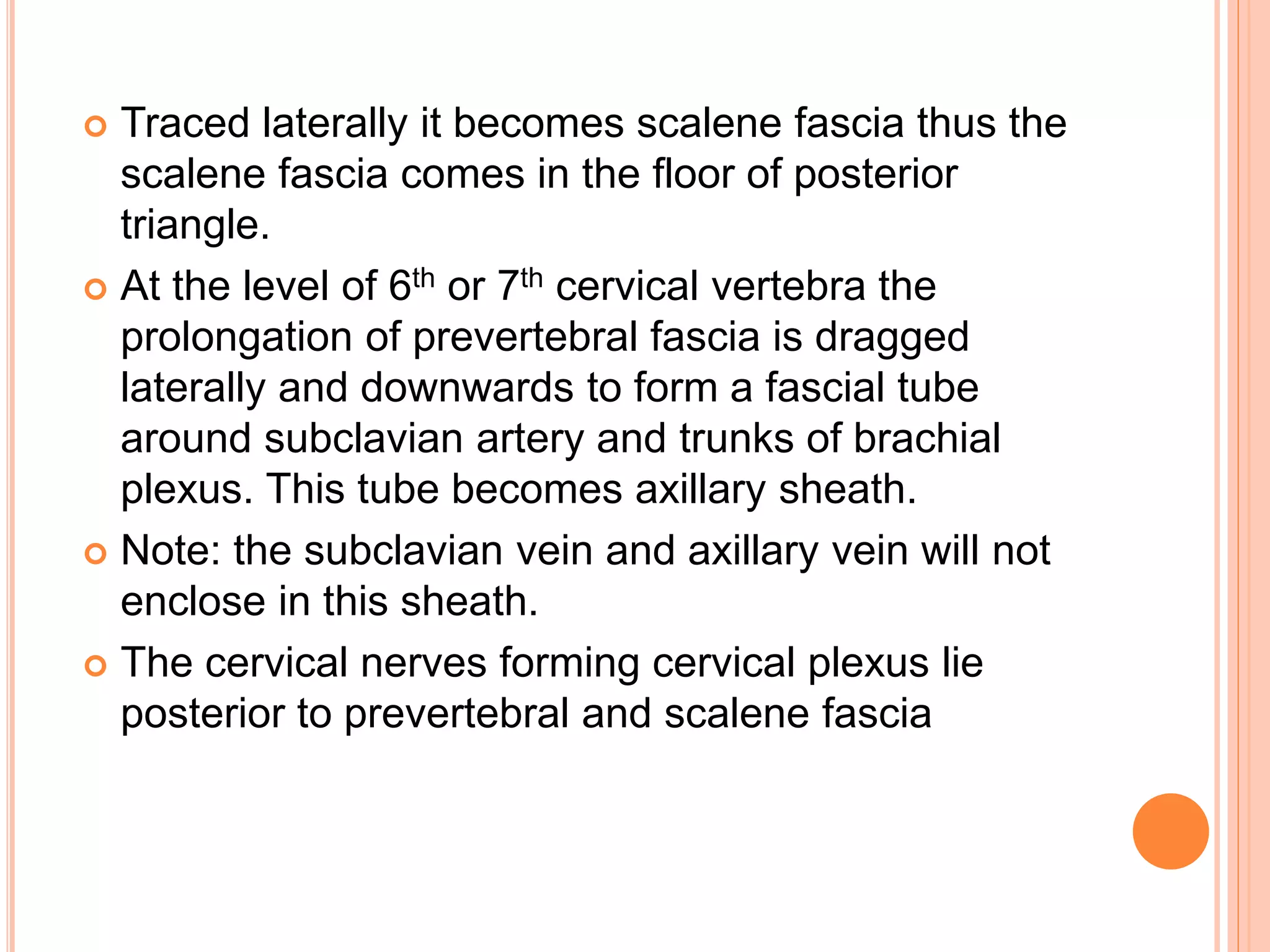 Deep Cervical fascia.pptx