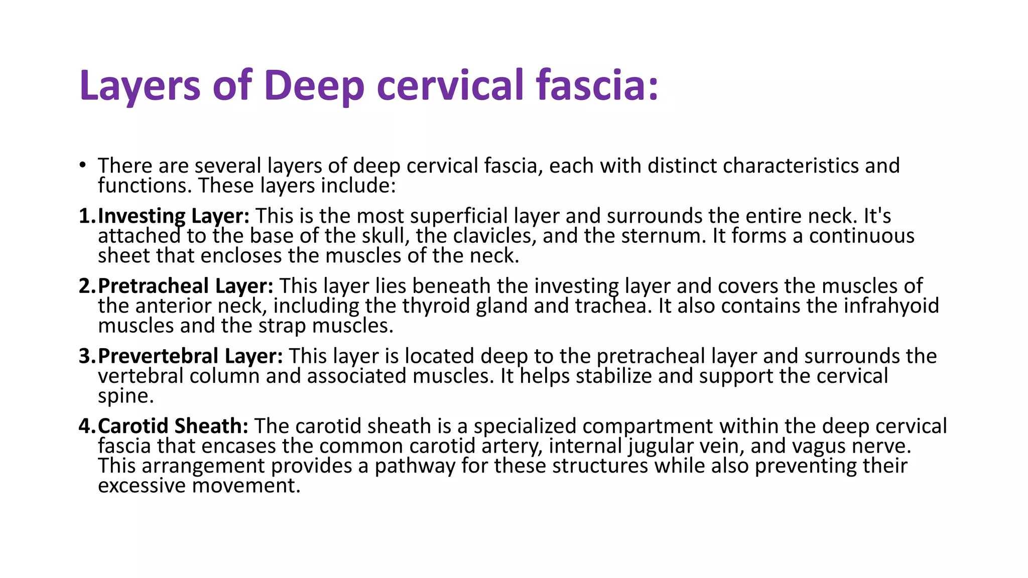 Deep Cervical fascia-Scribd.pptx