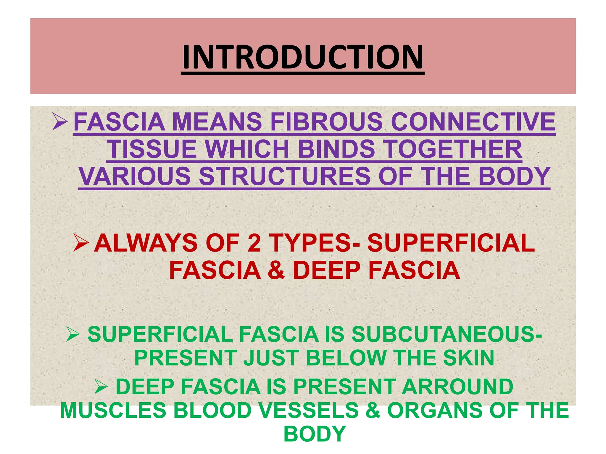 deepcervicalfasciafasciacolli-101219223301-phpapp01.pdf