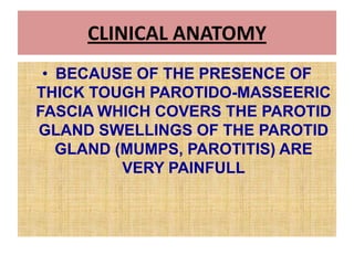 deepcervicalfasciafasciacolli-101219223301-phpapp01.pdf