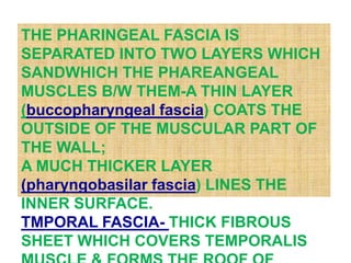deepcervicalfasciafasciacolli-101219223301-phpapp01.pdf