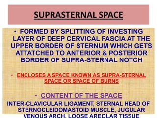 Deep cervical fascia (fascia colli) | PPTX