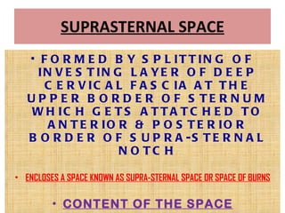 Deep cervical fascia (fascia colli) | PPT