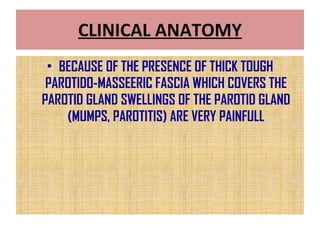 Deep cervical fascia (fascia colli) | PPT