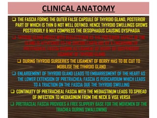 Deep cervical fascia (fascia colli) | PPT