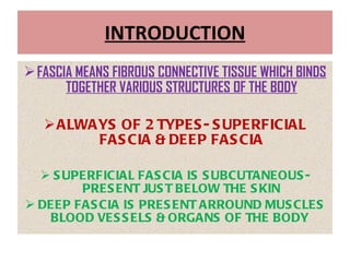 Deep cervical fascia (fascia colli) | PPT