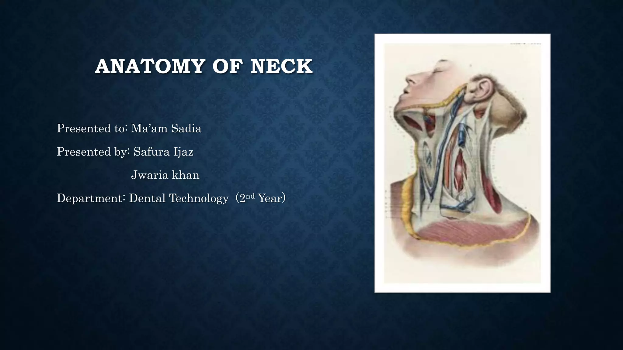 DEEP CERVICAL FASCIA(FASCIA COLLI).pptx
