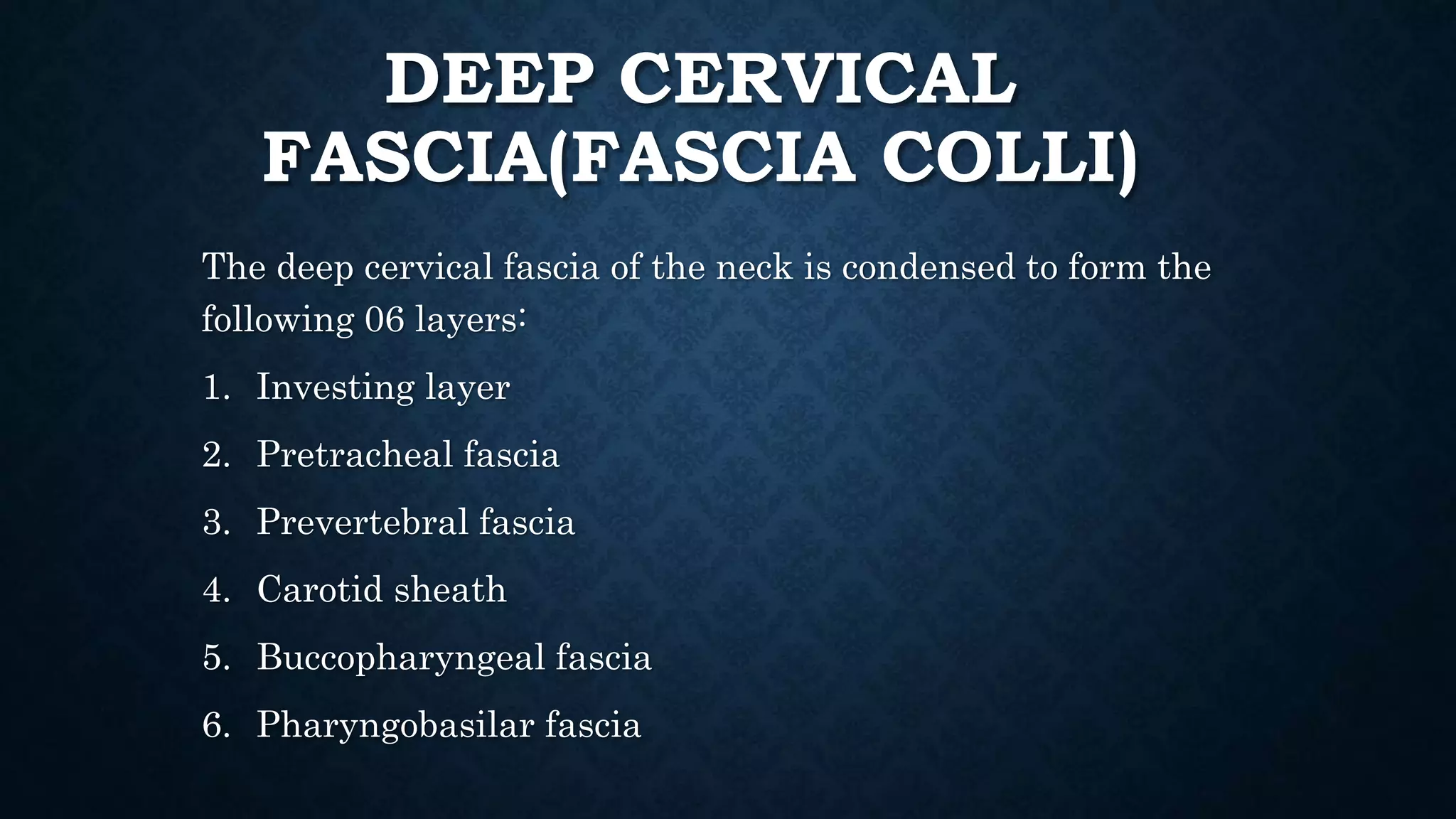 DEEP CERVICAL FASCIA(FASCIA COLLI).pptx