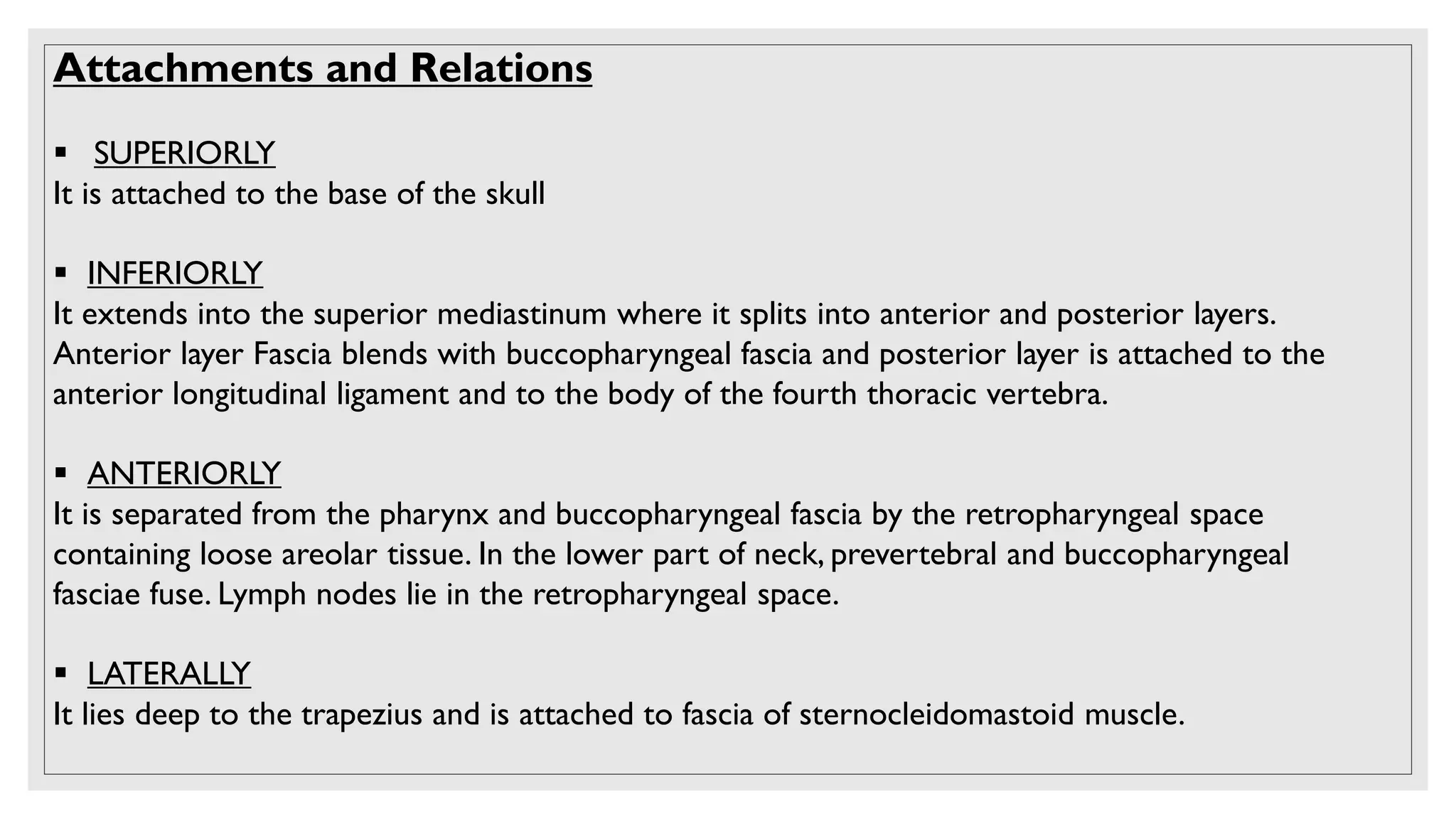 Deep cervical fascia of neck | PDF