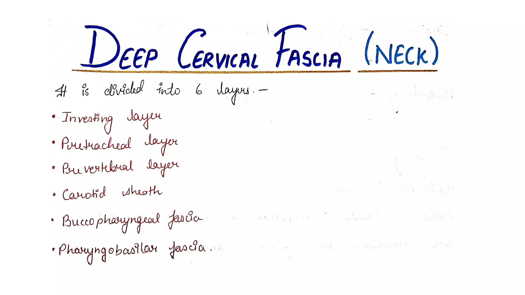 Deep cervical fascia of neck | PDF