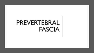 Deep cervical fascia of neck | PDF