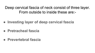 Deep cervical fascia of neck.pptx