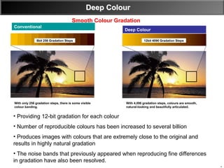 Deep Colour-XVycc updated viewing TV.ppt