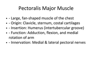 Deep fascia and. pectoral region | PPT