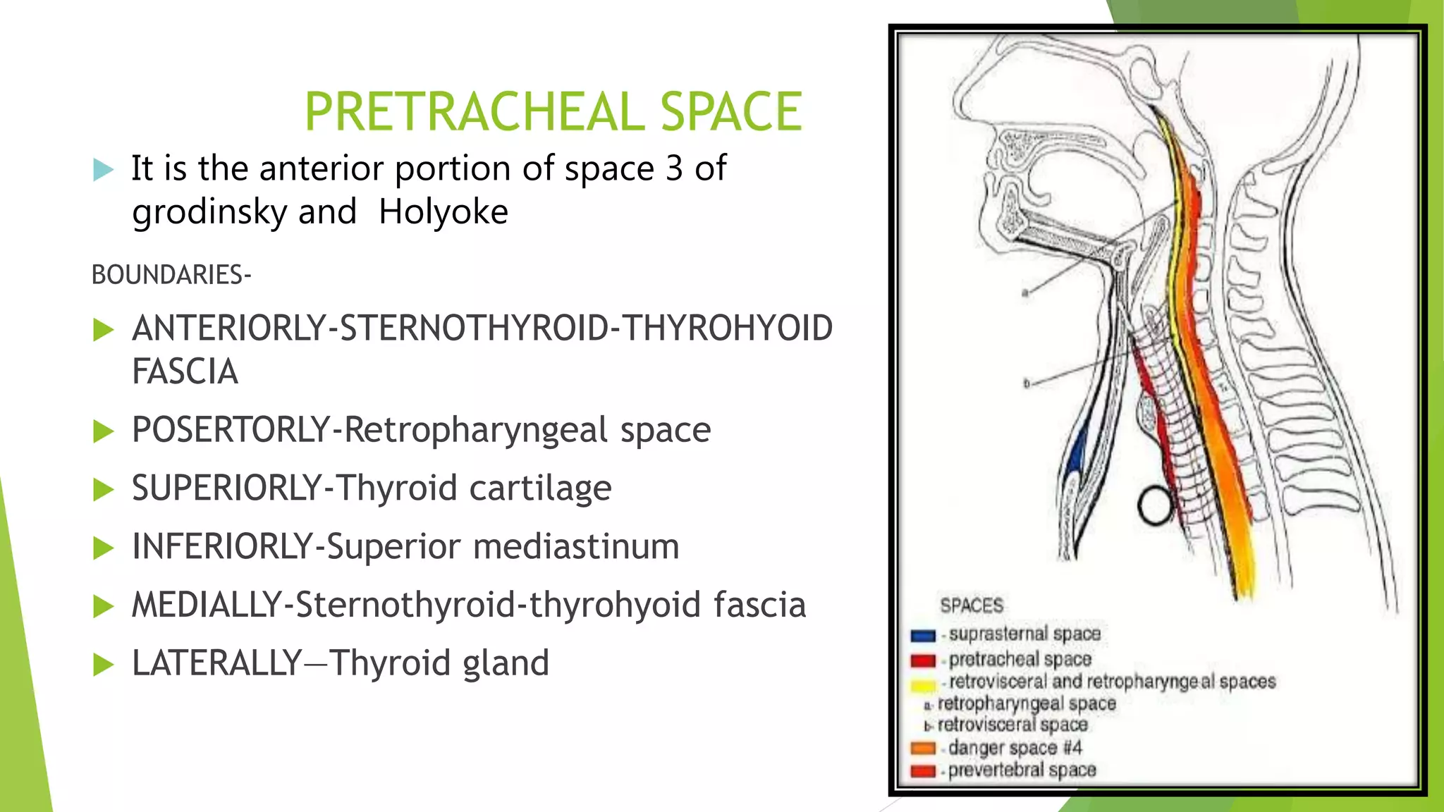 Deep facial spaces of head and neck | PPTX