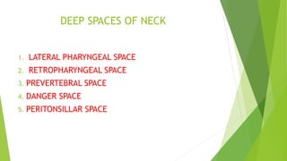 Deep facial spaces of head and neck | PPTX