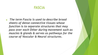 Deep facial spaces of head and neck | PPTX