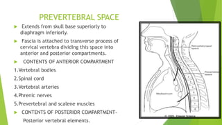 Deep facial spaces of head and neck | PPTX