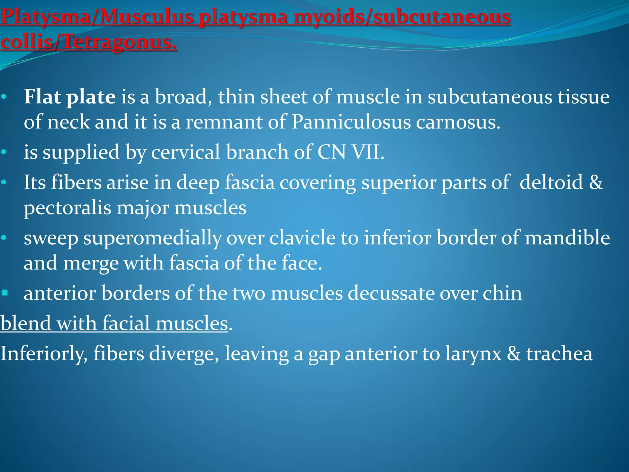 Deep fascia of Neck | PPTX
