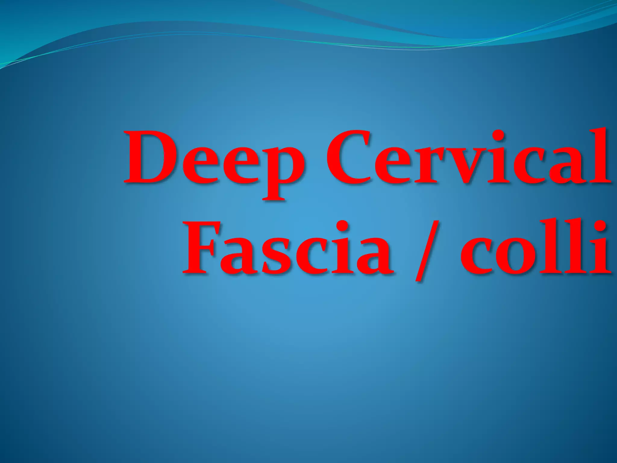 Deep fascia of Neck | PPTX