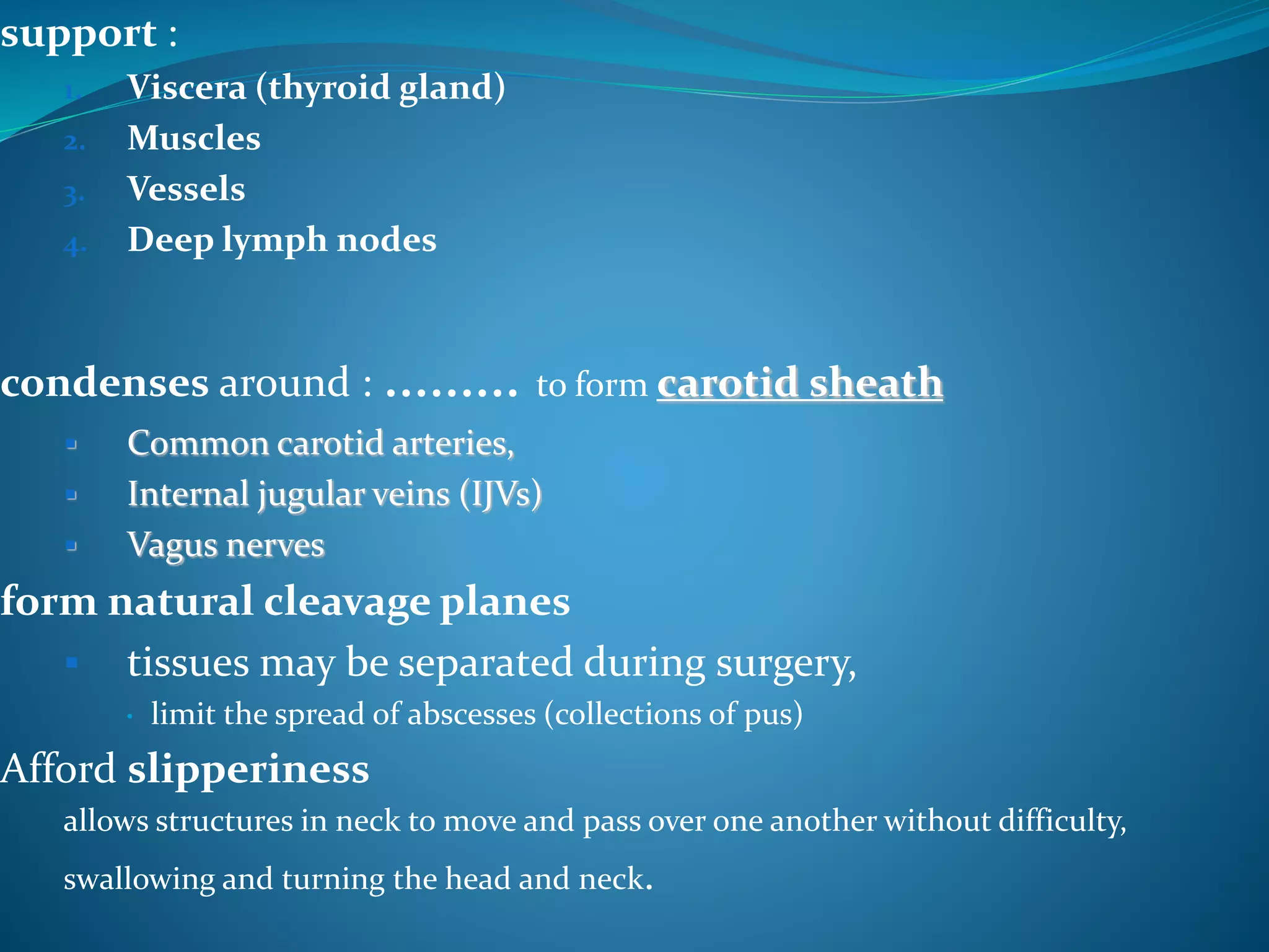 Deep fascia of Neck | PPTX